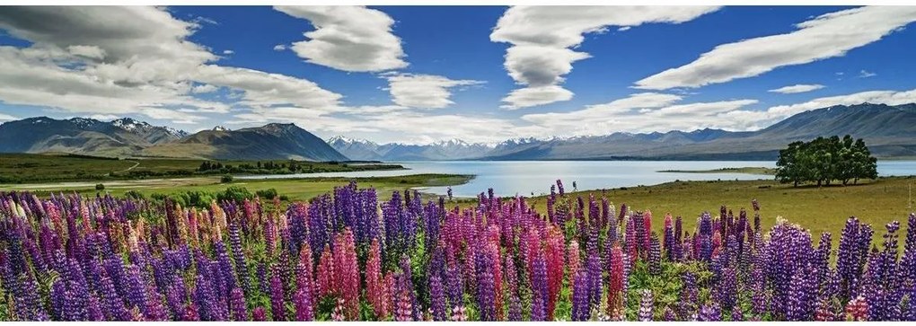 Puzzle heye panoramatické puzzle jezero tekapo, nový zéland 1000 dílků
