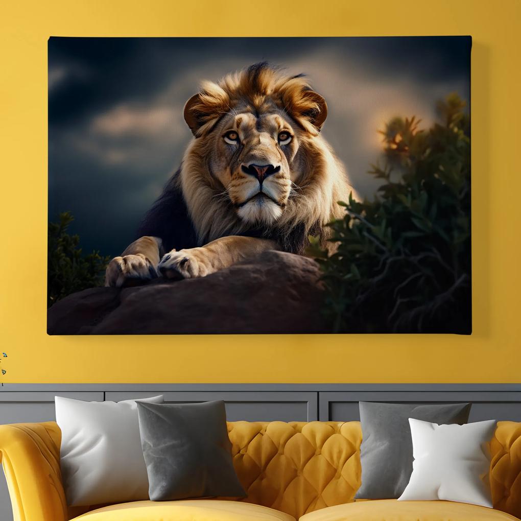 Obraz na plátně - Lev se vyhřívá na skále těsně před bouřkou FeelHappy.cz Velikost obrazu: 150 x 100 cm
