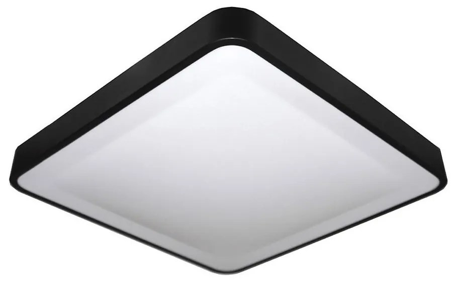 BOWI | LED Stropní svítidlo WILTON LED/24W/230V černá | BW0103