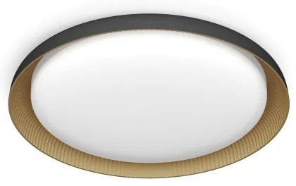 Philips - LED Stmívatelné stropní svítidlo PEBBLO LED/10W/230V 2700K černá