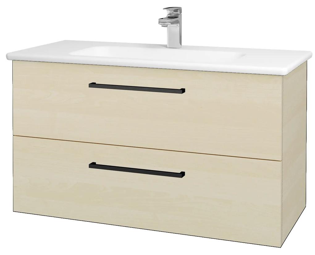 Dřevojas Koupelnová skříň GIO SZZ2 100 Varianta: N01 Bílá lesk / Úchytka T02 / D01 Beton