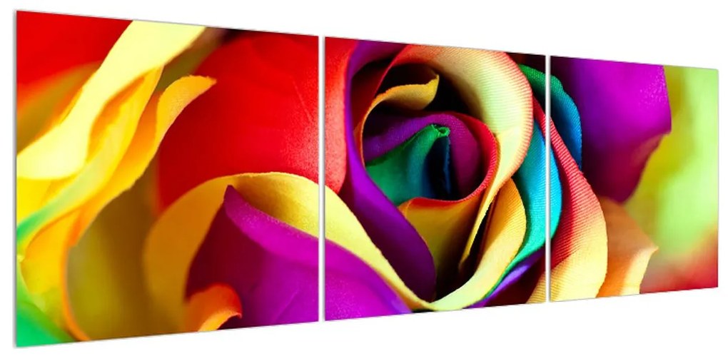 Barevný obraz abstraktní růže (150x50 cm)