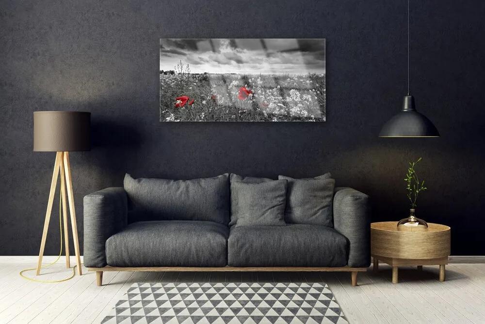Plexisklo-obraz Louka Květiny Krajina 100x50 cm