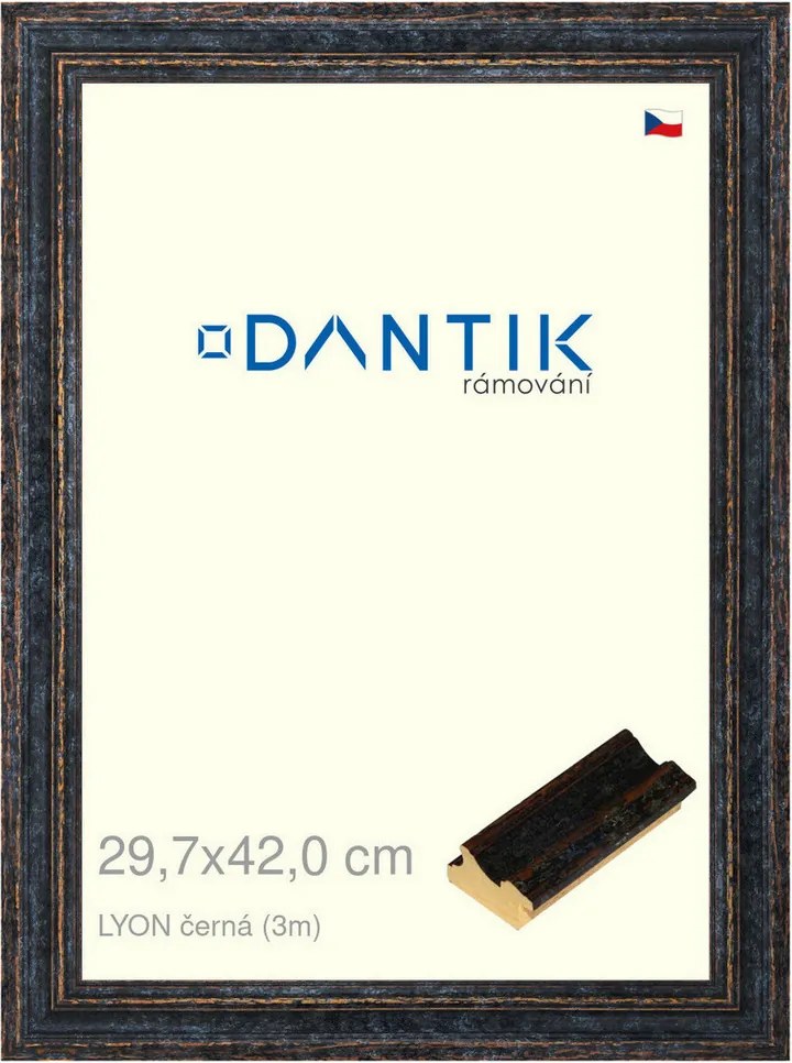 DANTIK rámeček 29,7x42 | LYON černá (Plexi Čiré)