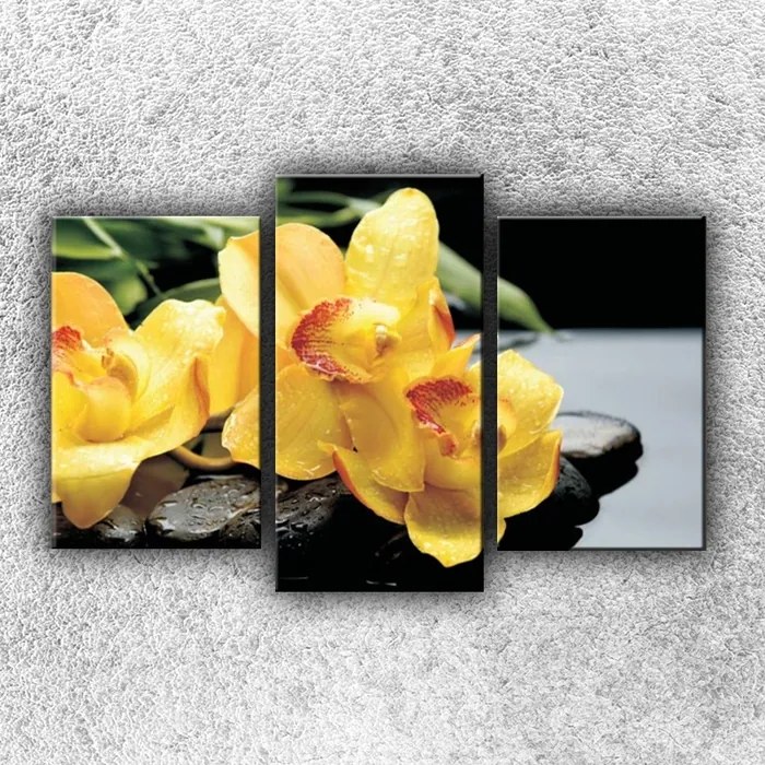 3 dílný obraz Žlutá orchidea na kamenech