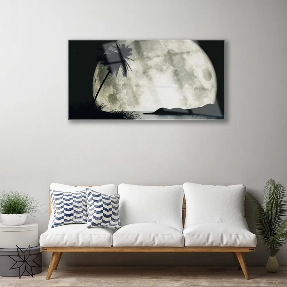 akrylový obraz Noc Měsíc Palma Krajina 100x50 cm