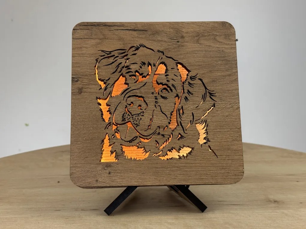 Li-Go "Bernardýn, Salašnický pes" lampa 19x19cm provedení povrchu: dub
