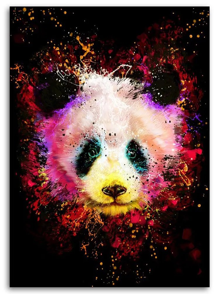 Gario Obraz na plátně Duhová panda - Dmitry Belov Rozměry: 40 x 60 cm