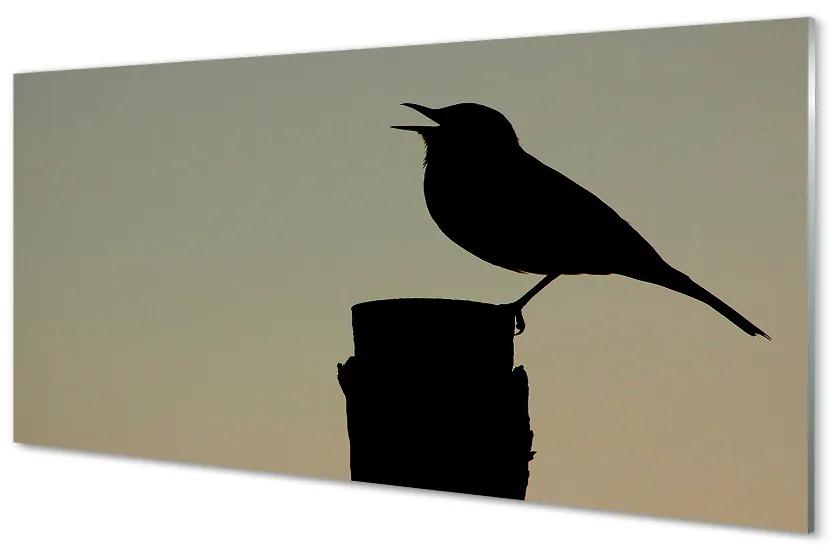 Obraz na skle černý pták 120x60 cm