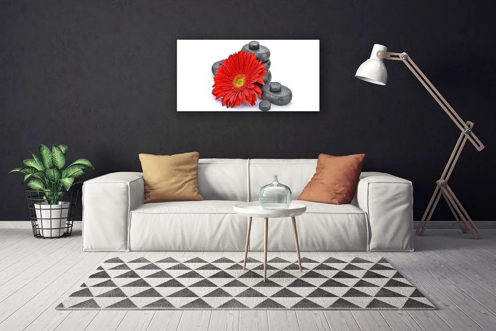 Obraz na plátně Květiny Gerbery Kameny Zen 120x60 cm