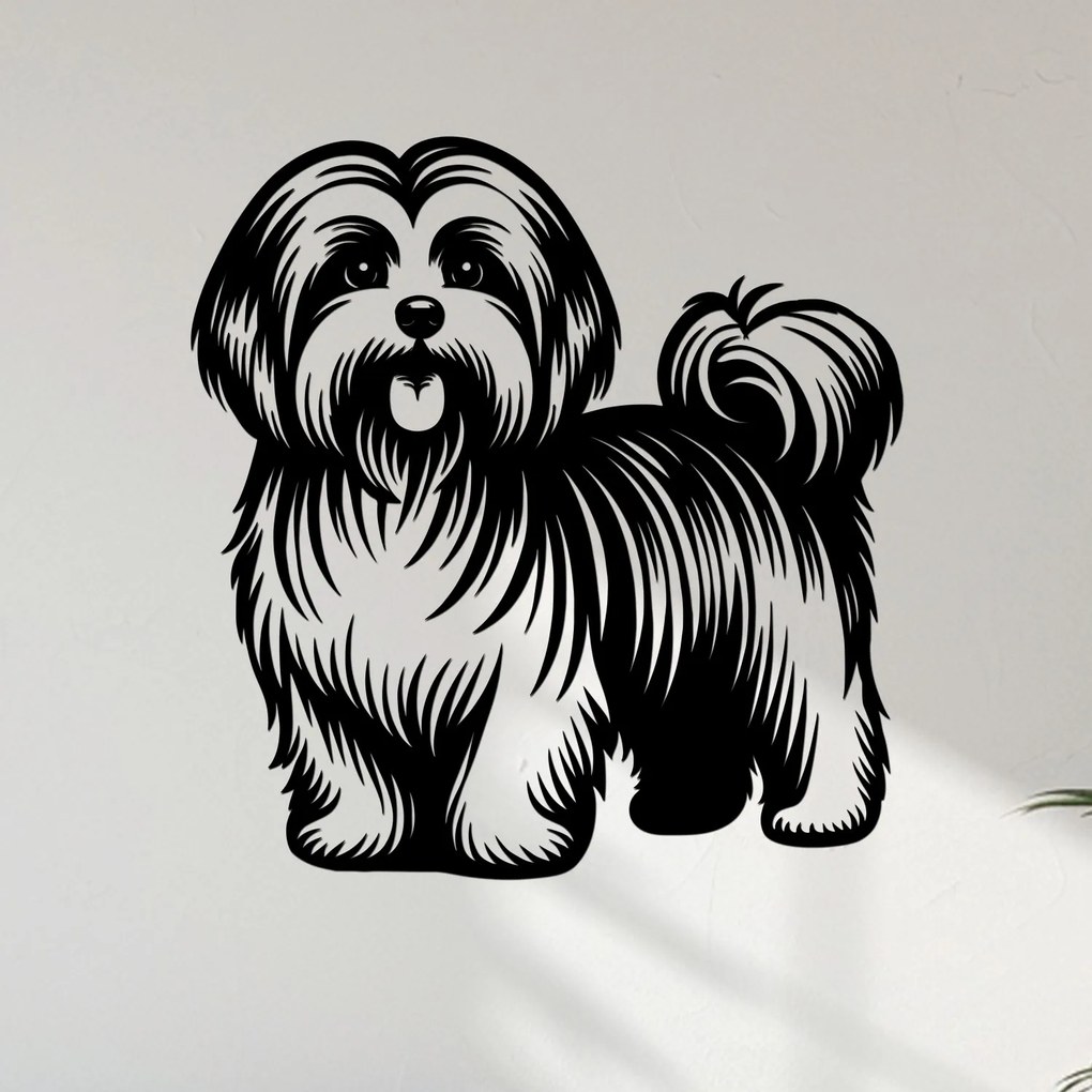 dřevo života Dřevěný obraz Havanský psík (Havanese) Rozměry (cm): 57x60, Zvolte barvu dekoru: Černá