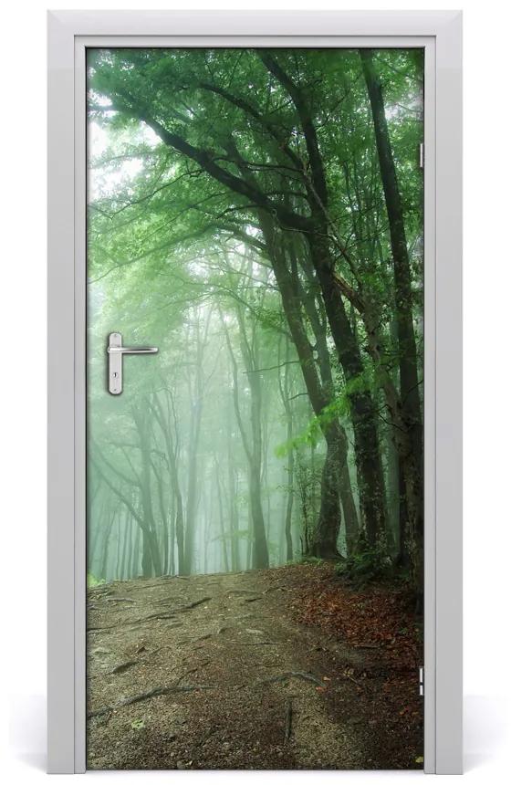 Fototapeta na dveře samolepící mlha v lese 85x205 cm
