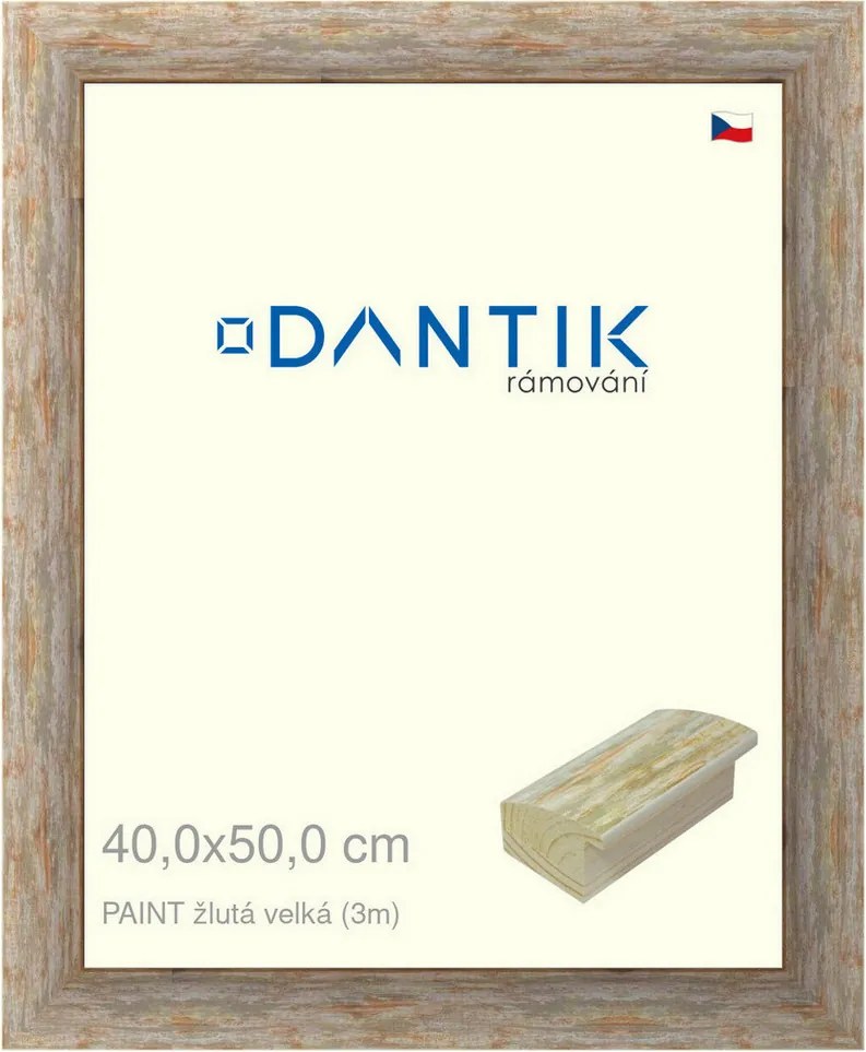 DANTIK rámeček 40x50 | PAINT žlutá velká (Sklo Čiré)