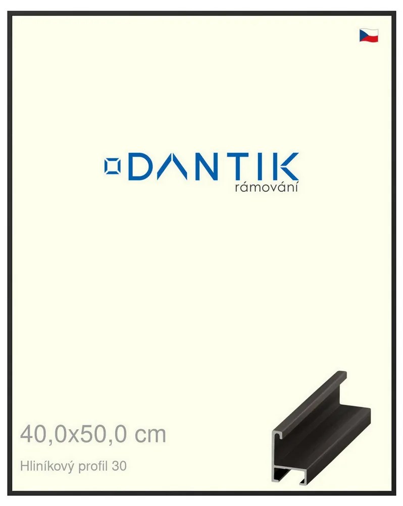 DANTIK rámeček 40x50 | ALU profil 6030 Černá matná (Plexi Čiré)