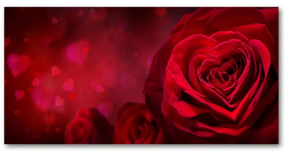 Wallmuralia Foto obraz akryl do obýváku Červená růže srdce 140x70 cm
