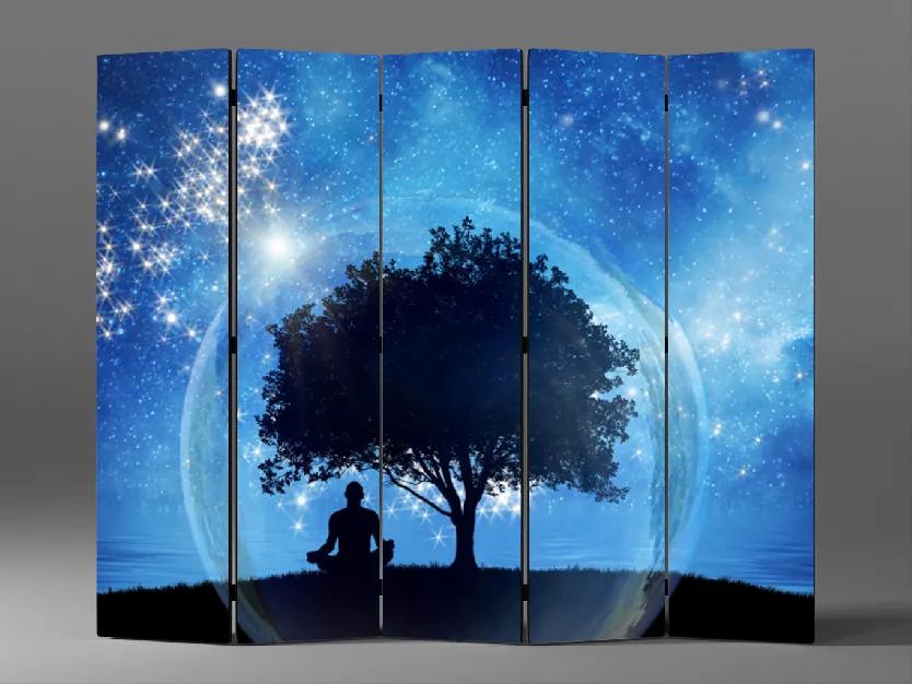 Liox Paraván vesmírná meditace Rozměr: 225 x 180 cm