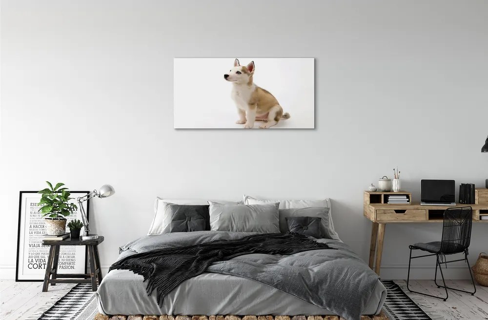 Obrazy na plátně Sedící malého psa 125x50 cm