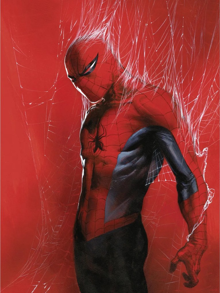 Komar Plakát Marvel Spider-Man Through the Spider Web 30 cm x 40 cm