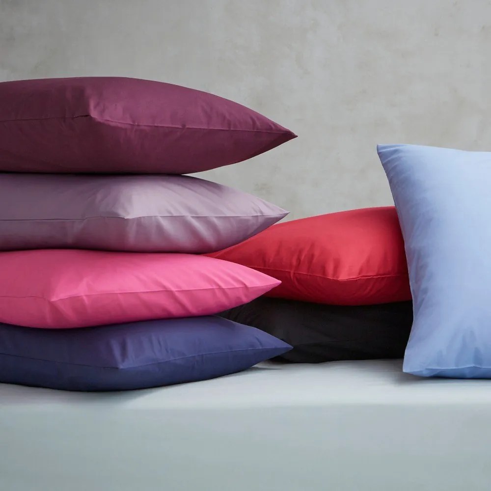 Perkálové povlaky na polštáře v sadě 2 ks 50x75 cm Easy Iron Percale – Catherine Lansfield