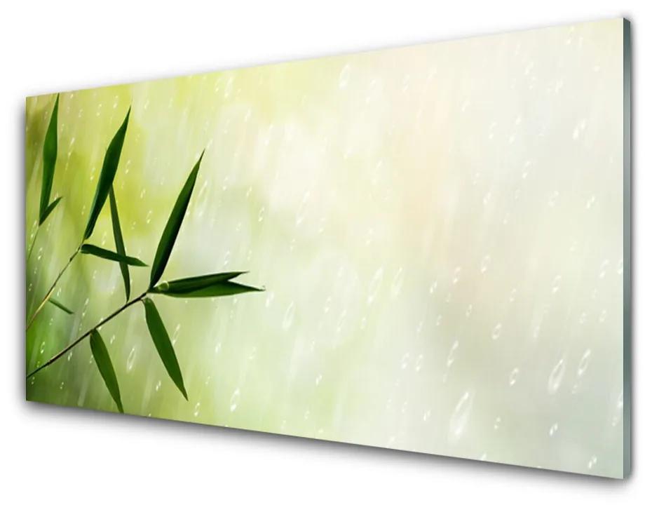 Obraz na skle Listy Déšť 125x50 cm