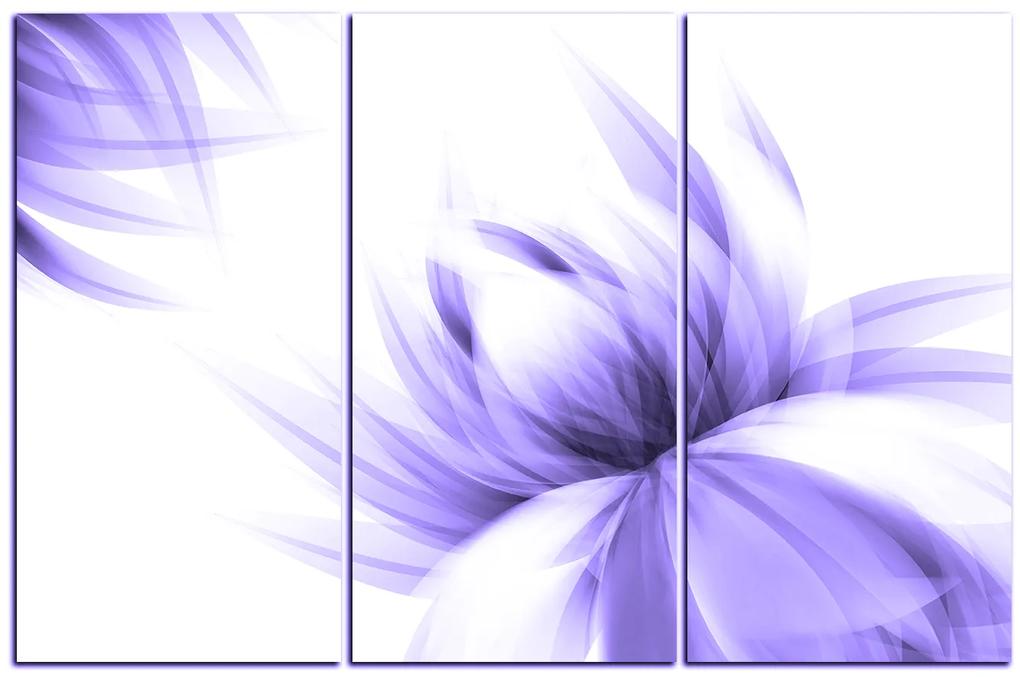 Obraz na plátně - Elegantní květ 1147VB (150x100 cm)