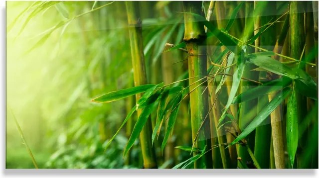 Skleněný obraz 130x70 - Zelený bambus (EXTRA - s vyvrtanými dírami) - Sablo.cz