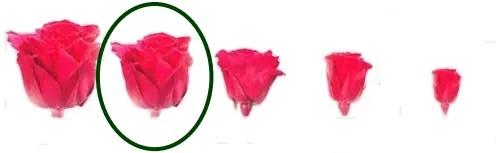 Hlavy růží - premium 4 ks Dark pink - tmavě růžová