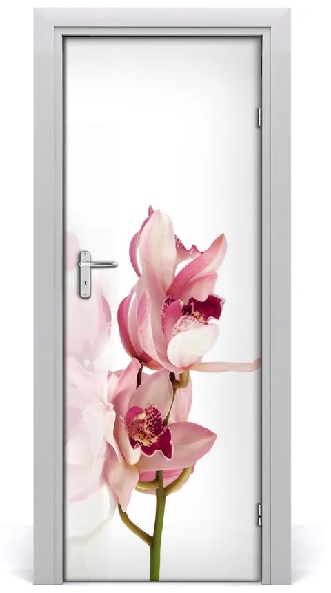 Fototapeta na dveře Růžová orchidej 85x205 cm