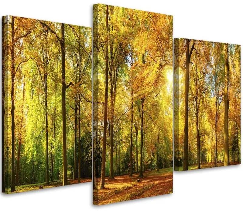 Gario Obraz na plátně Podzim v lese - 3 dílný Rozměry: 60 x 40 cm
