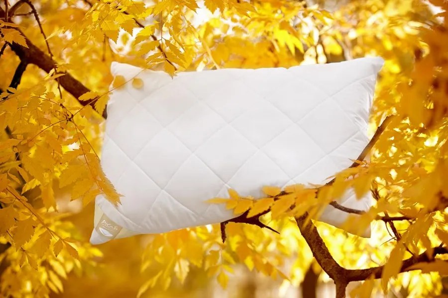 Lavinest Polštář Aloe Vera pro hluboký spánek Rozměr: 2ks 80x80 cm zip+vak
