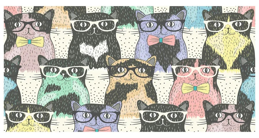 Wallmuralia Foto obraz akrylový Kočky v brýlích 100x50 cm