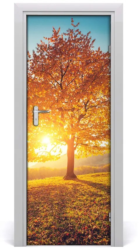 Fototapeta samolepící na dveře podzim dřevo 75x205 cm