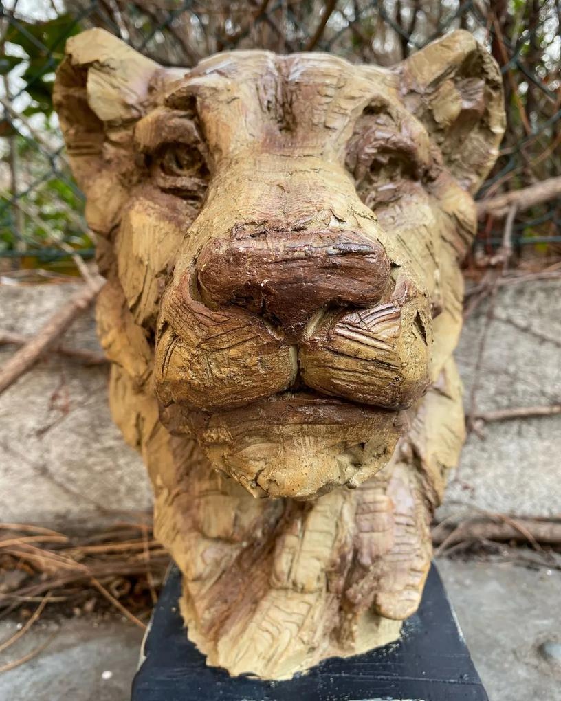 Velká socha - Lví hlava