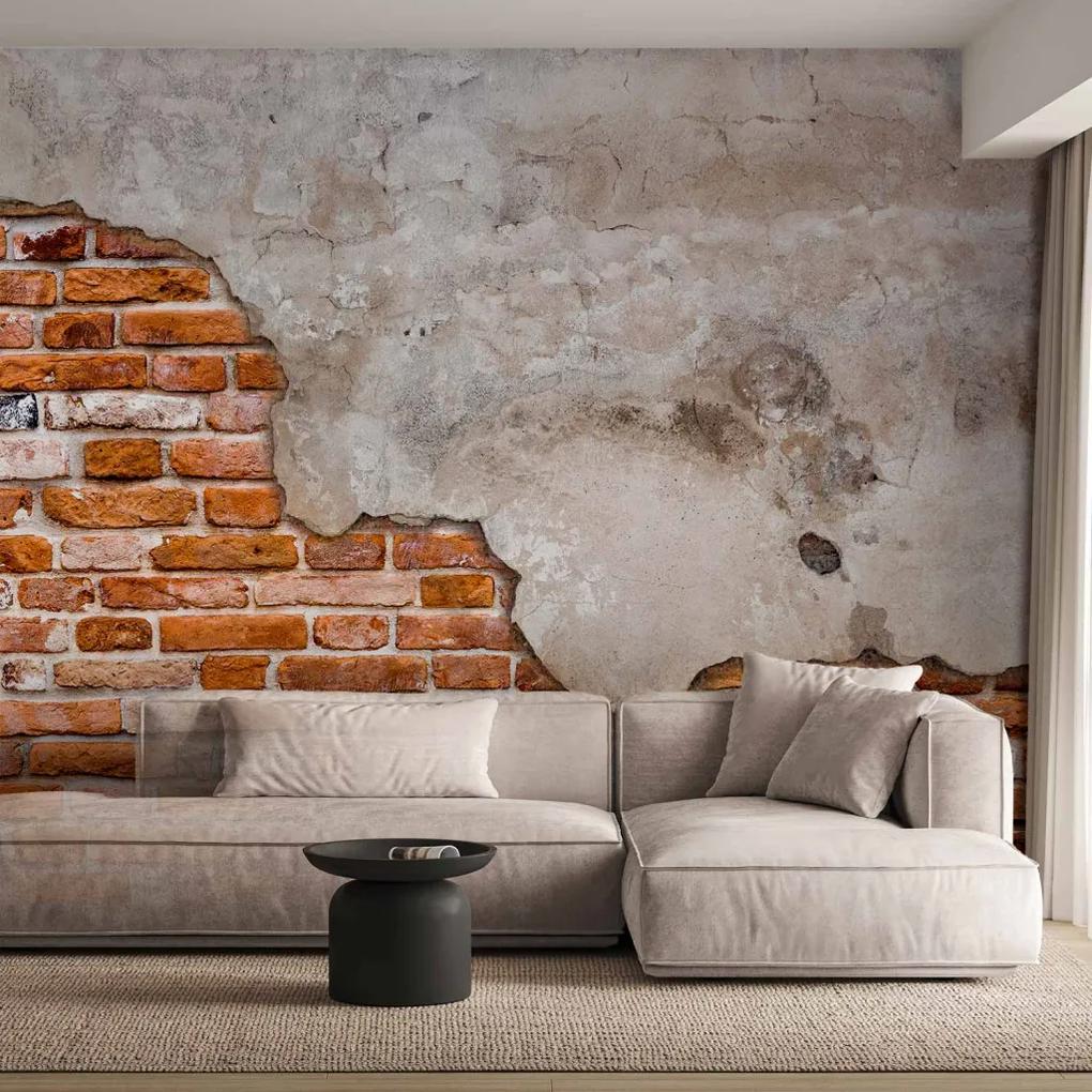 Fototapeta Ekletická zeď - deska o textuře betonu na pozadí ze starých cihel
