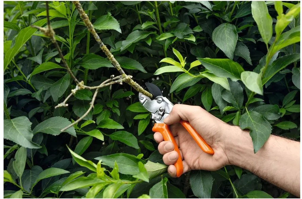 Zahradní nůžky STIHL Amboss PG 25