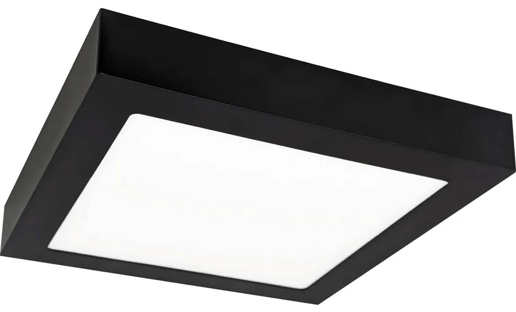 Greenlux LED Stropní svítidlo FENIX LED/12W/230V 2800K 17 cm GXDW365