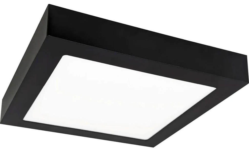 LED Stropní svítidlo FENIX LED/12W/230V 2800K 17 cm