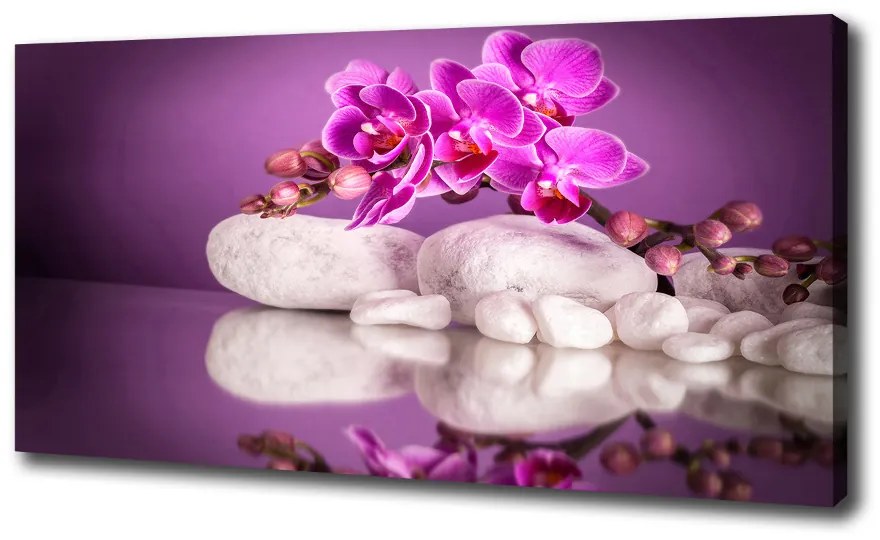 Wallmuralia Foto obraz canvas Růžová orchidej 100x50