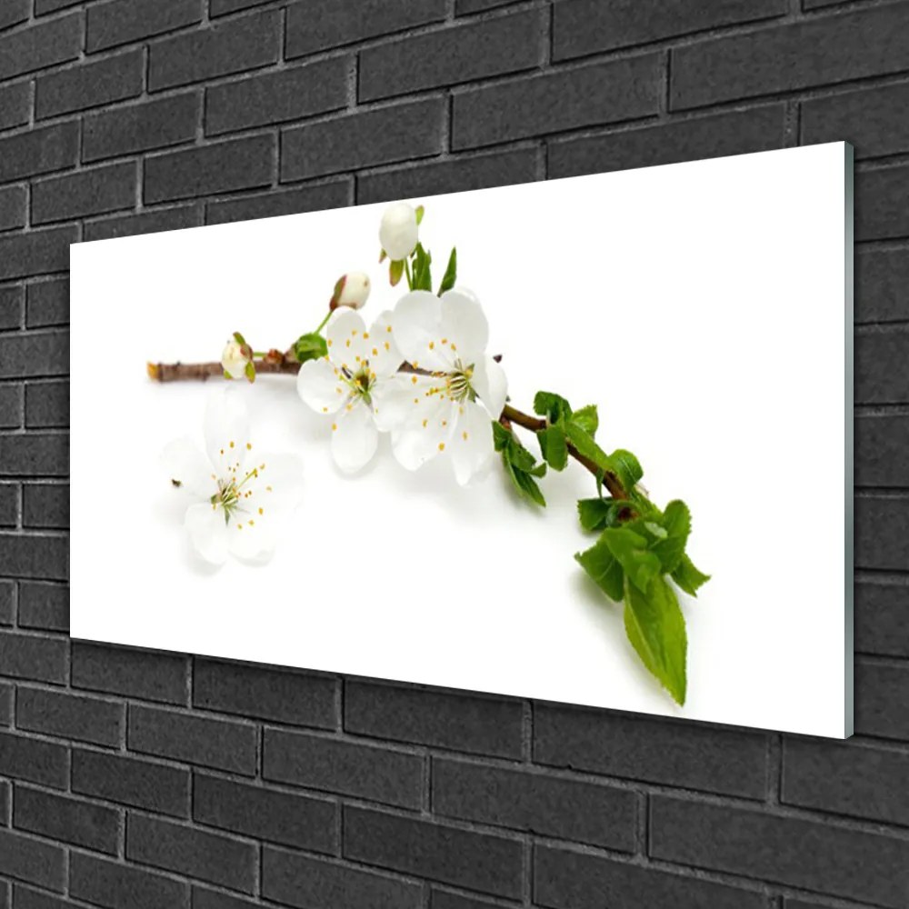 Obraz na skle Květ Větev Příroda 125x50 cm