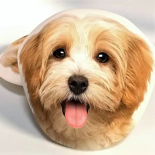 Dětský polštářek 3D pes | BIANO