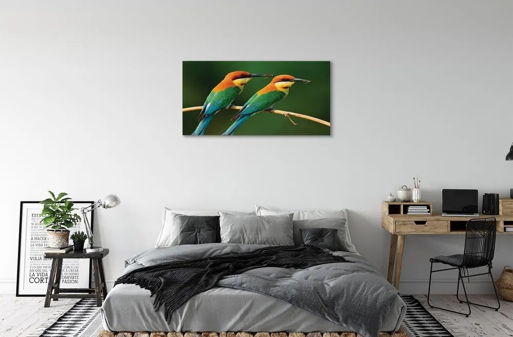 Obrazy na plátně Barevné papoušek na větvi 100x50 cm