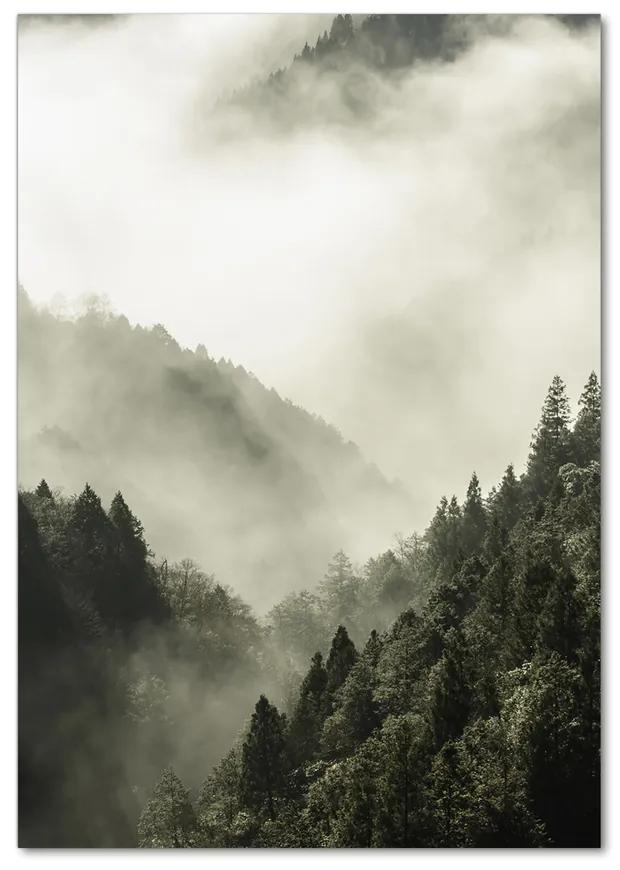 Wallmuralia Foto obraz fotografie na skle Mlha nad lesem 70x100 cm