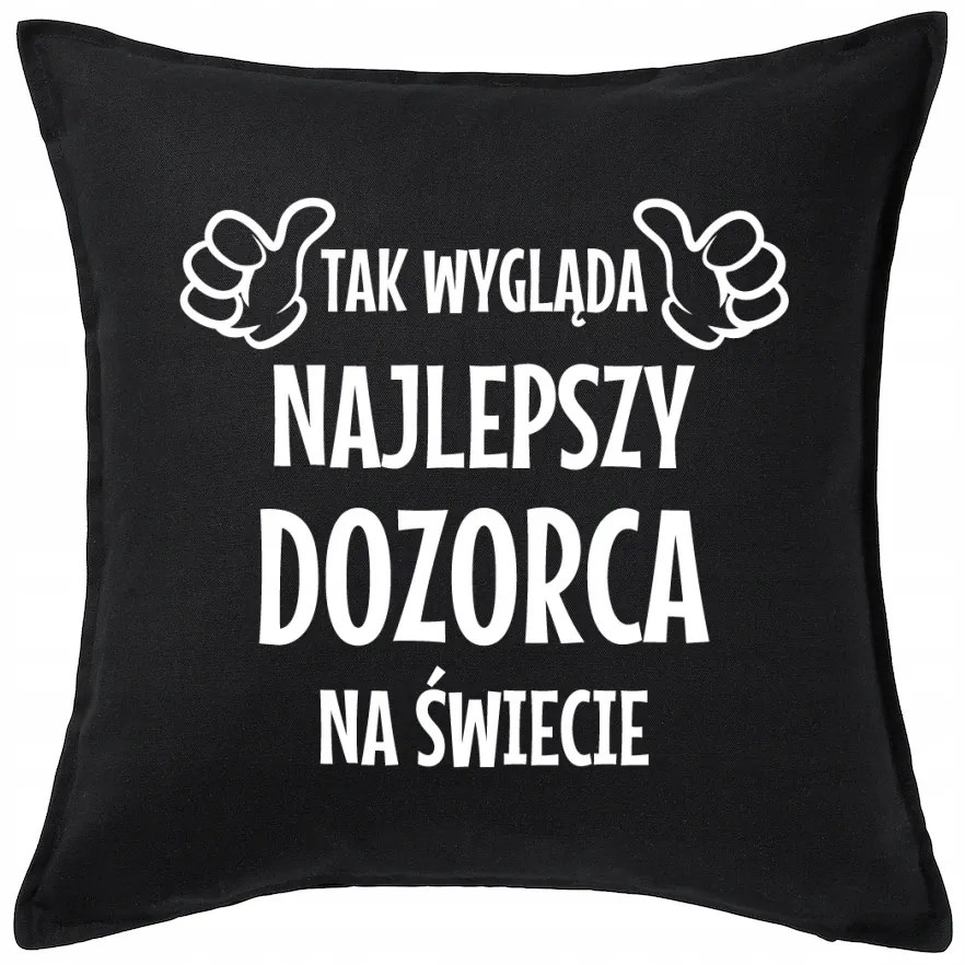 IKEA NEJLEPŠÍ DOMOVNÍK NA SVĚTĚ polštář dárek