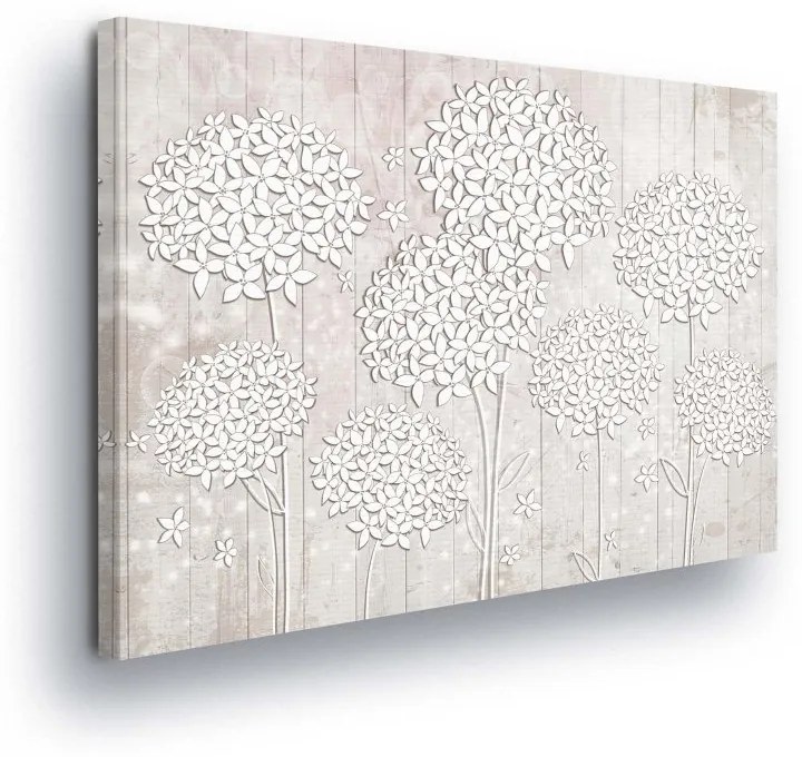 GLIX Obraz na plátně - Bělo-listé Květiny na Bílém Pozadí 100x75 cm