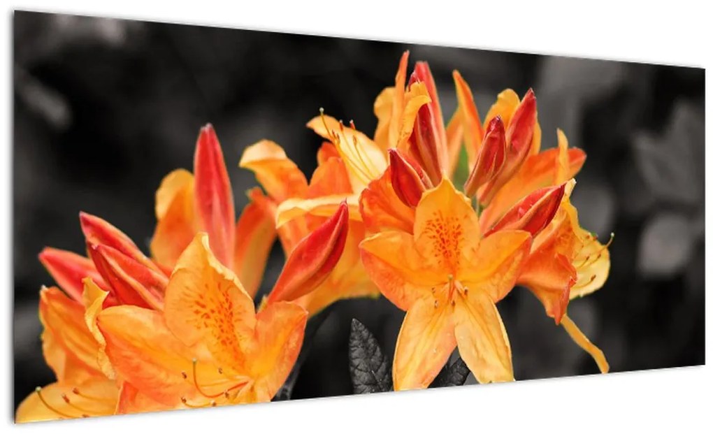 Obraz květin (100x40cm)