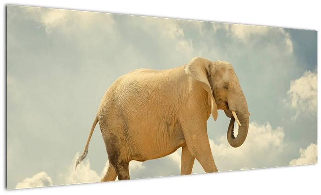 Slon na laně, obraz (100x40cm)