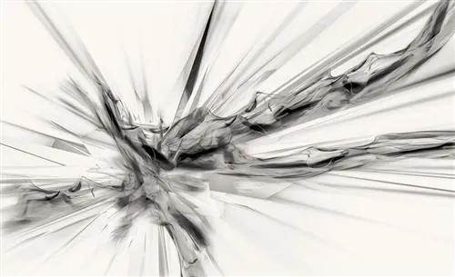 Fototapety abstrakce černo-bílá rozměr 368 cm x 254 cm
