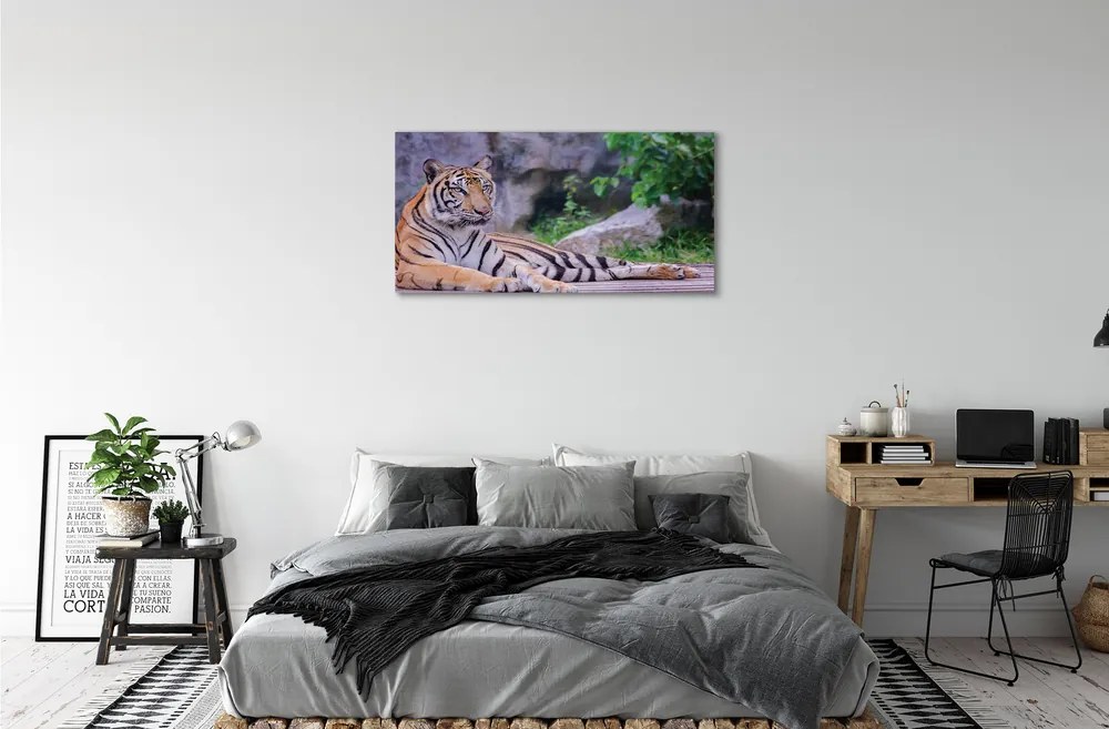 Obrazy na plátně Tiger v zoo 125x50 cm