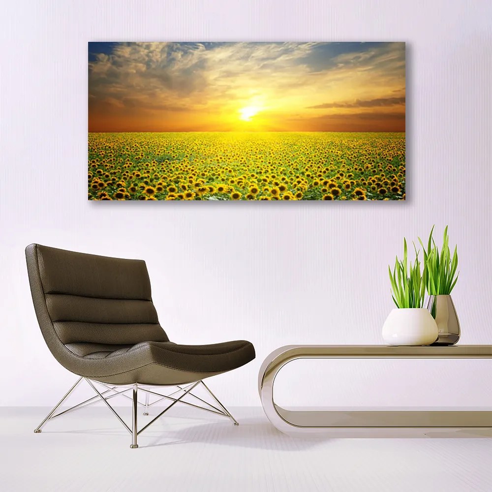 akrylový obraz Slunce Louka Slunečnice 120x60 cm