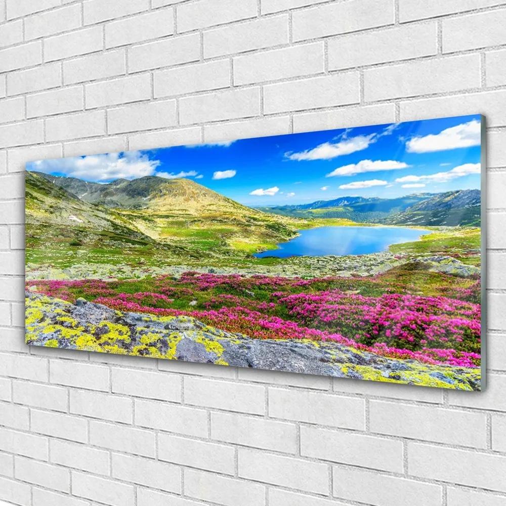 akrylový obraz Hora Záliv Louka Příroda 125x50 cm